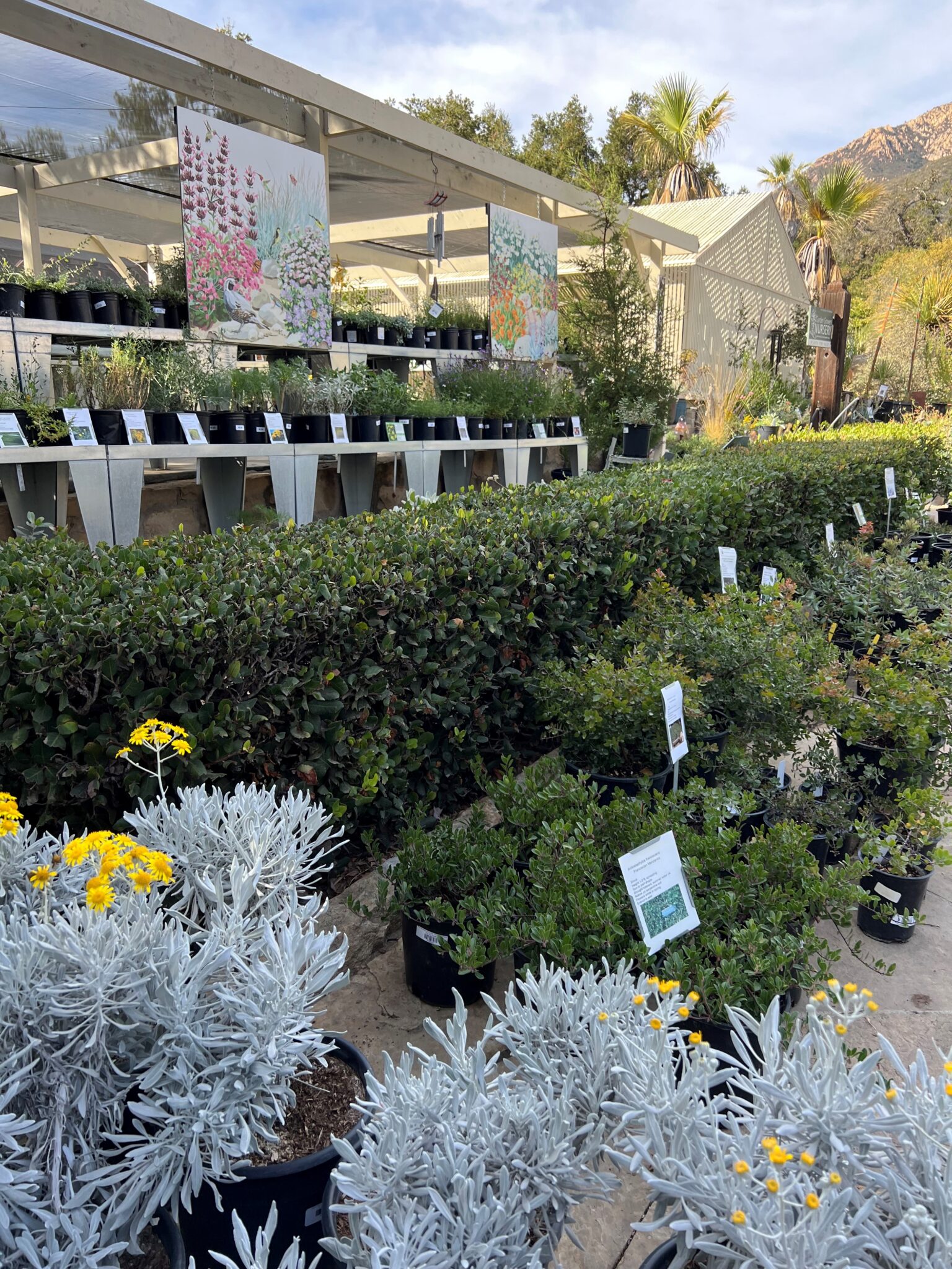 Spring Planting Event - Santa Barbara Botanic Garden
