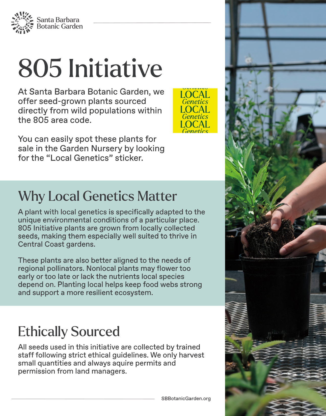 805 Initiative: Growing Local Native Plants for Restoration